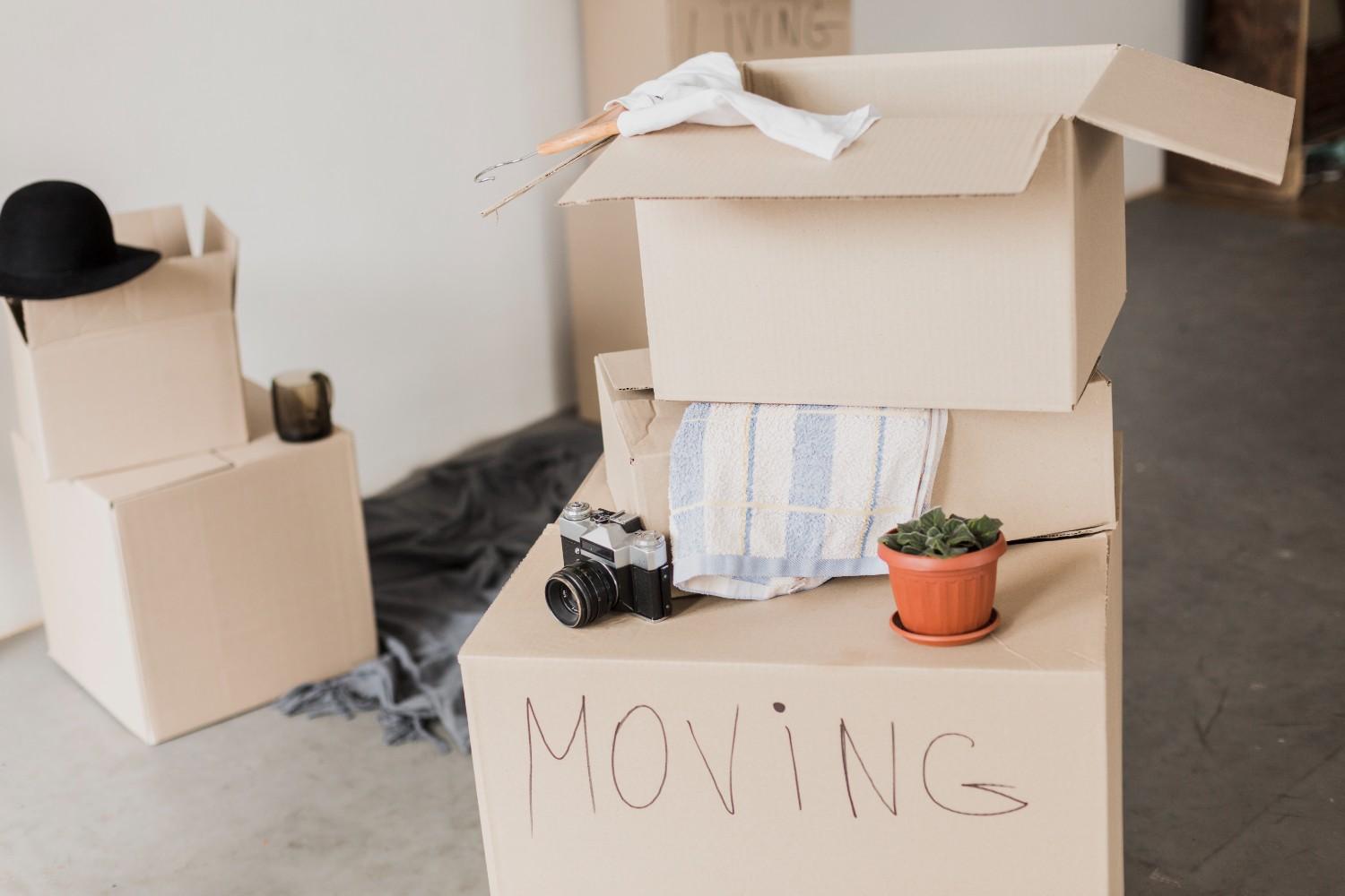 The Ultimate Moving Day Timeline: What to Do Hour by Hour
